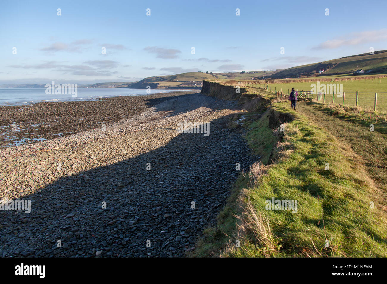 The Wales and Ceredigion Coast Path. Picturesque view of a walker on ...