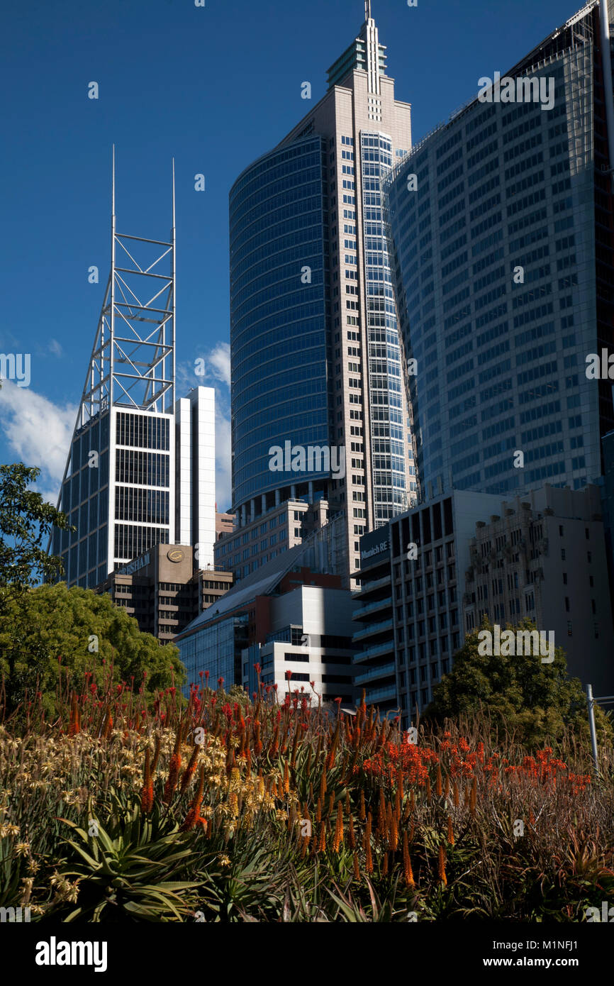 Royal Botanic Garden Sydney Stock Photos & Royal Botanic Garden Sydney ...