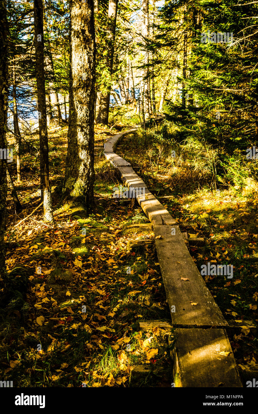 Upper Hadlock Pond Acadia National Park, Mount Desert Island, Maine ...