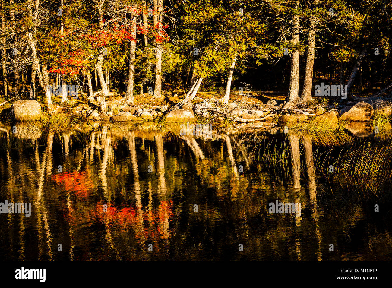 Upper Hadlock Pond Acadia National Park, Mount Desert Island, Maine ...