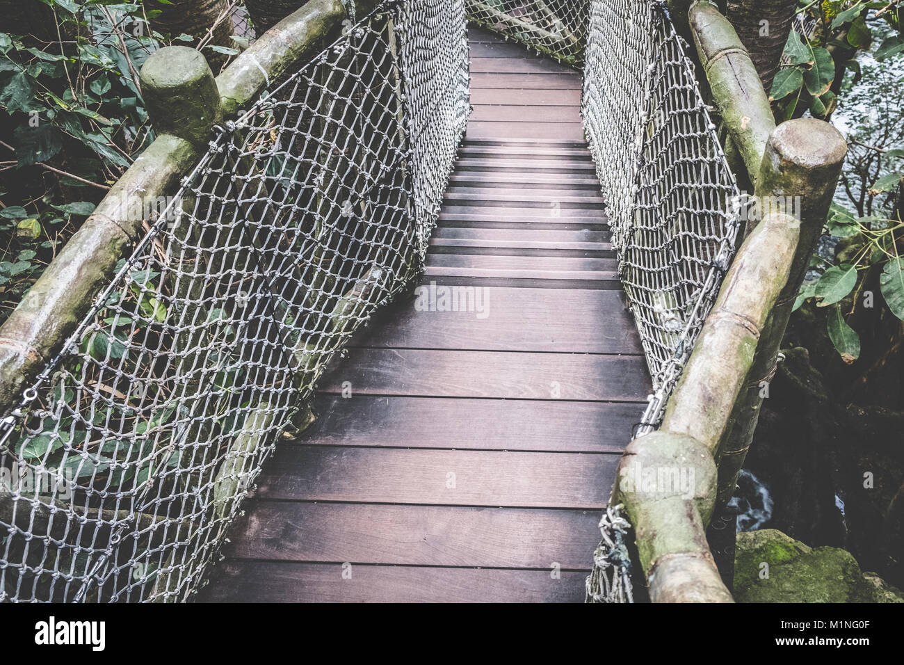 wooden walkway, wooden footpath in forest landscape Stock Photo - Alamy