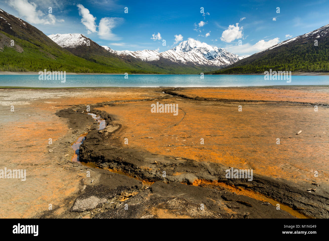 Vibrant spring colors along the shore of Eklutna Lake with Bold Peak in ...