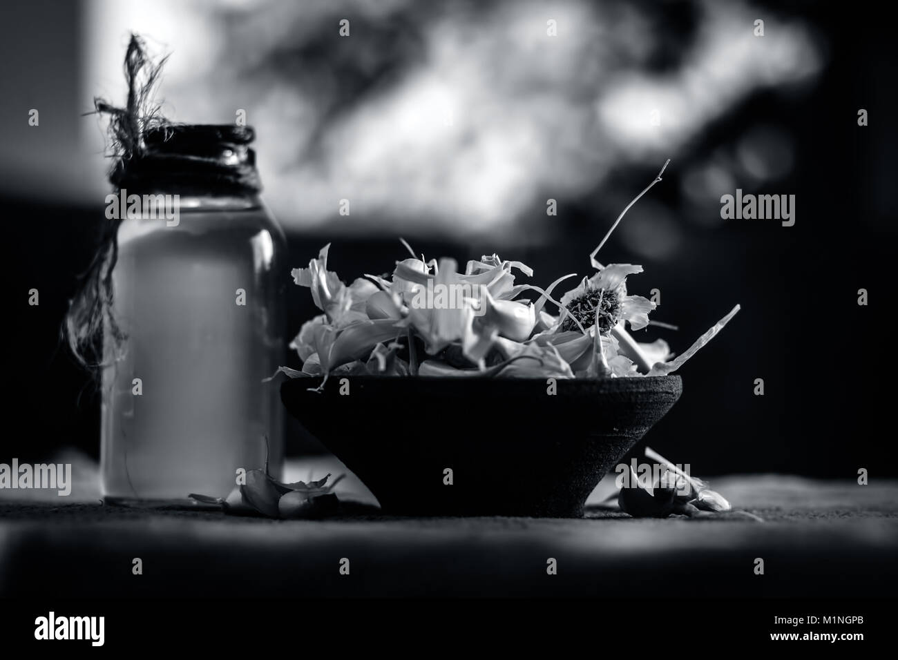 Close up of Allium sativum,Garlic with its oil in a transparent bottle ...