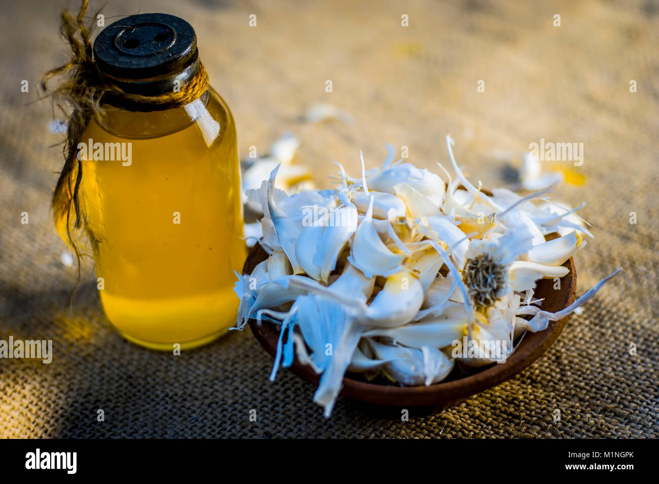 Close up of Allium sativum,Garlic with its oil in a transparent bottle ...