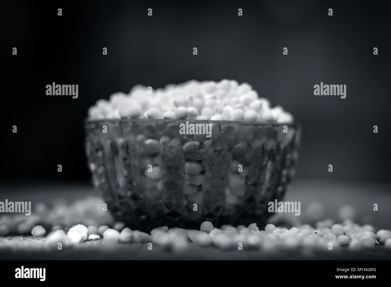 Close up of Sago pearls in a blue colored transparent bowl Stock Photo ...