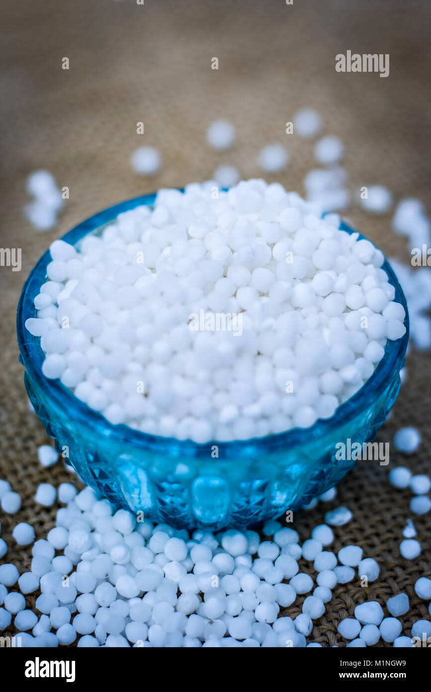 Close up of Sago pearls in a blue colored transparent bowl Stock Photo ...