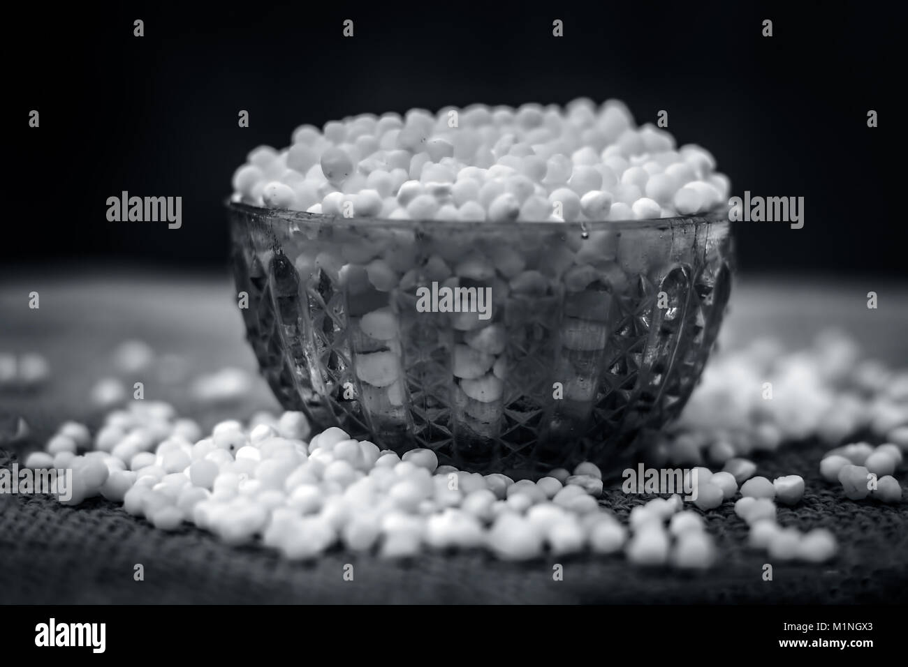 Close up of Sago pearls in a blue colored transparent bowl Stock Photo ...