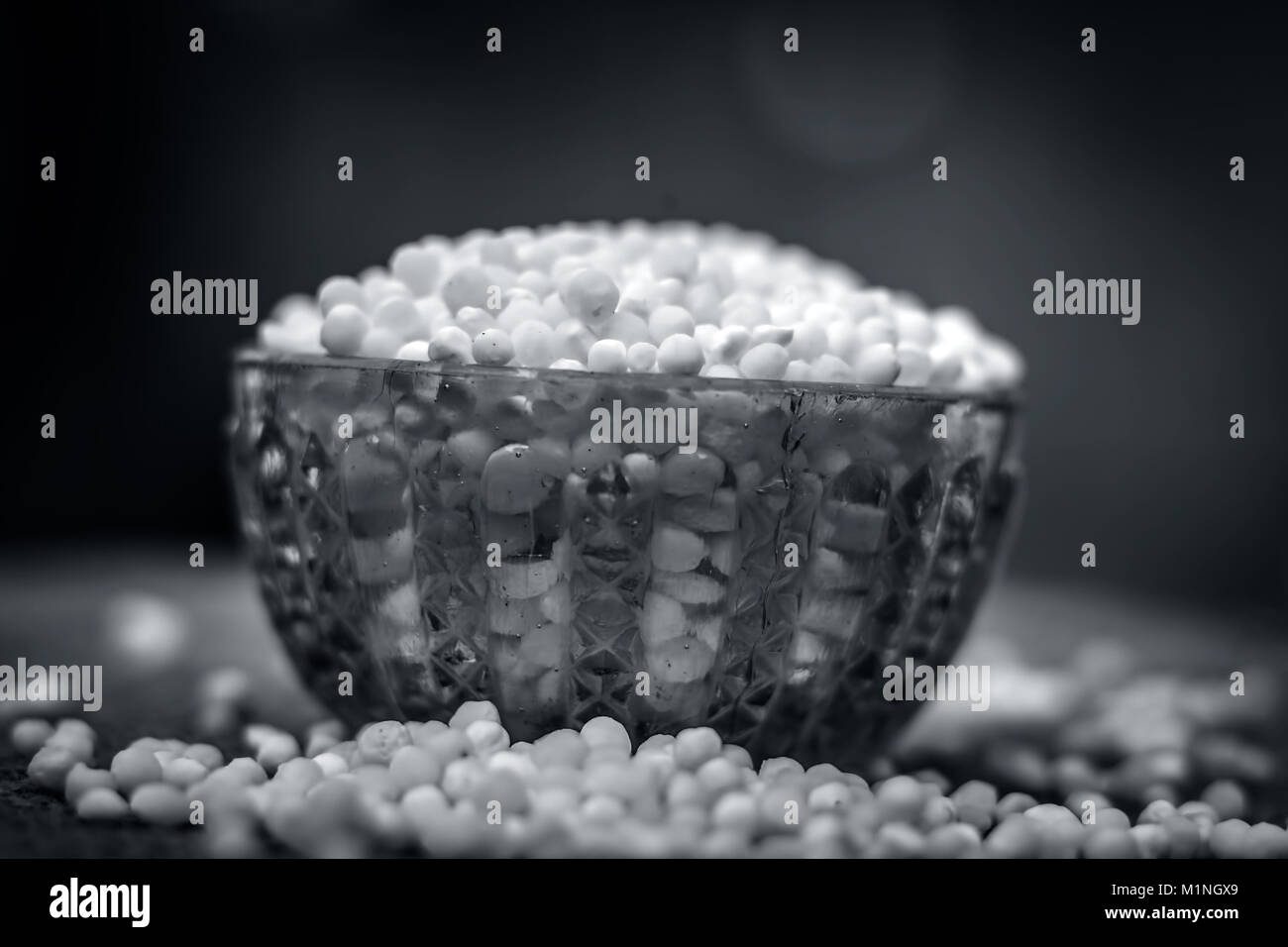 Close up of Sago pearls in a blue colored transparent bowl Stock Photo ...