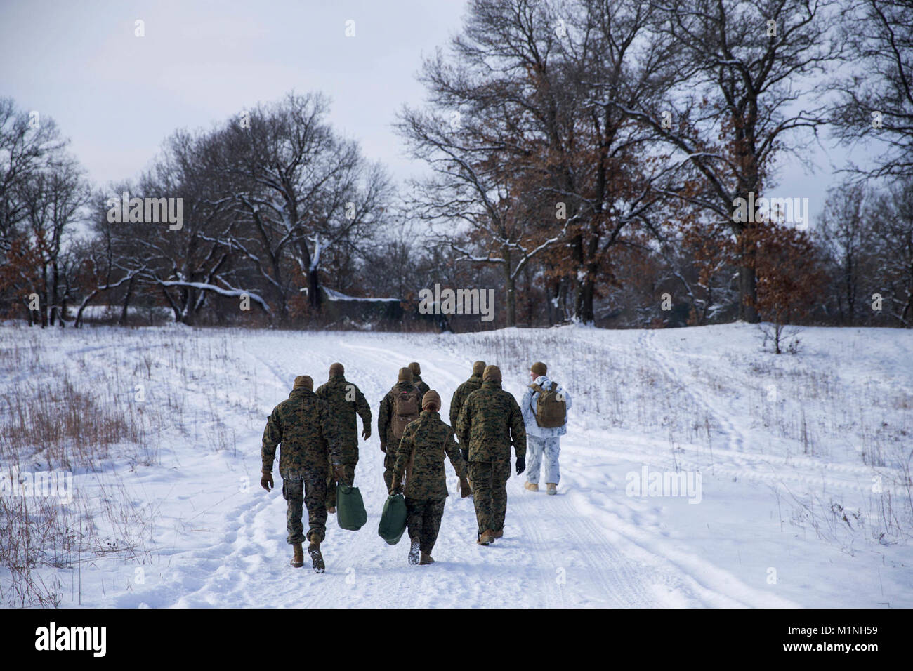 U.S. Marine Corps Maj. Gen. Matthew Glavy, Commanding General of 2nd ...