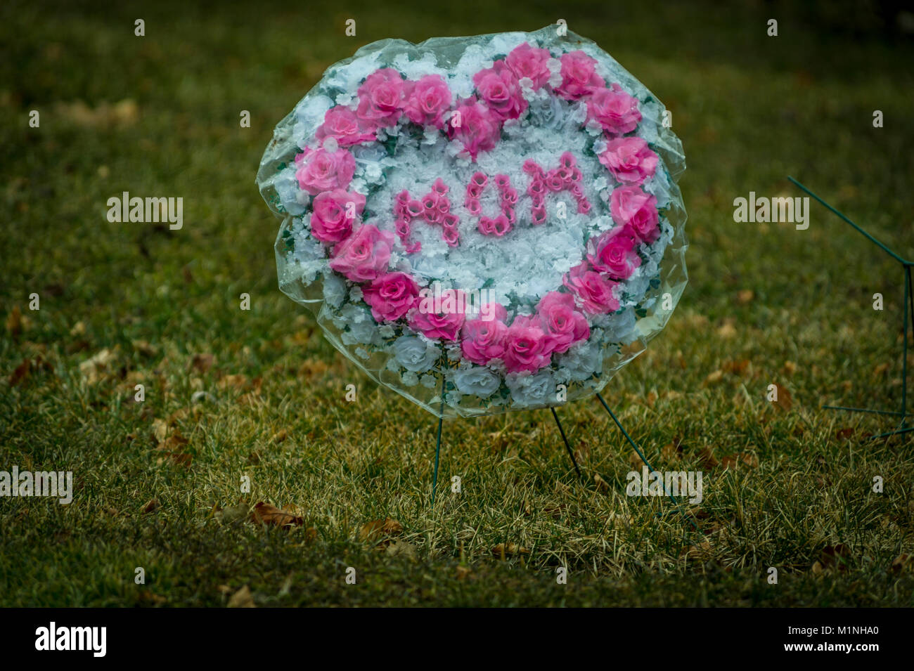 Prospect Cemetery in Toronto Stock Photo - Alamy