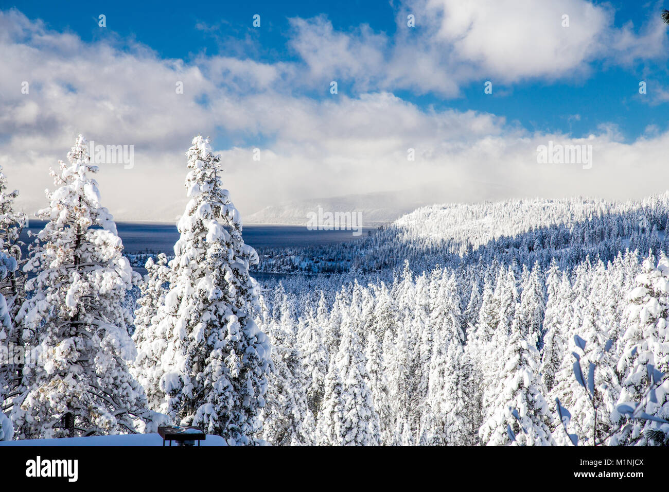 Snowy day. Landscape. Nature Stock Photo - Alamy