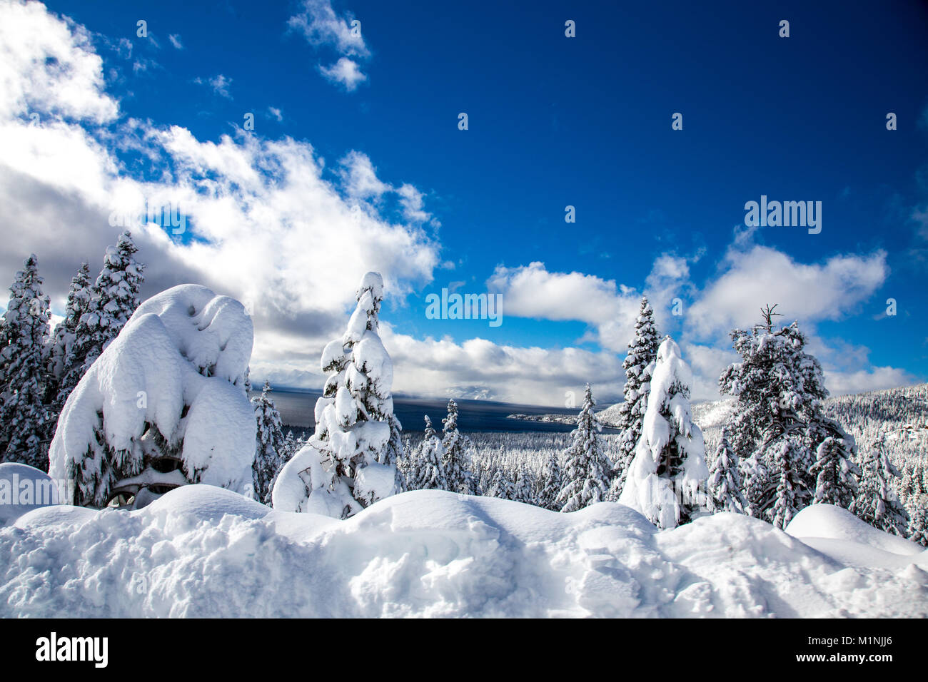 Snowy day. Landscape. Nature Stock Photo - Alamy