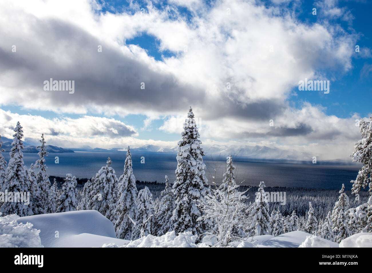 Snowy day. Landscape. Nature Stock Photo - Alamy