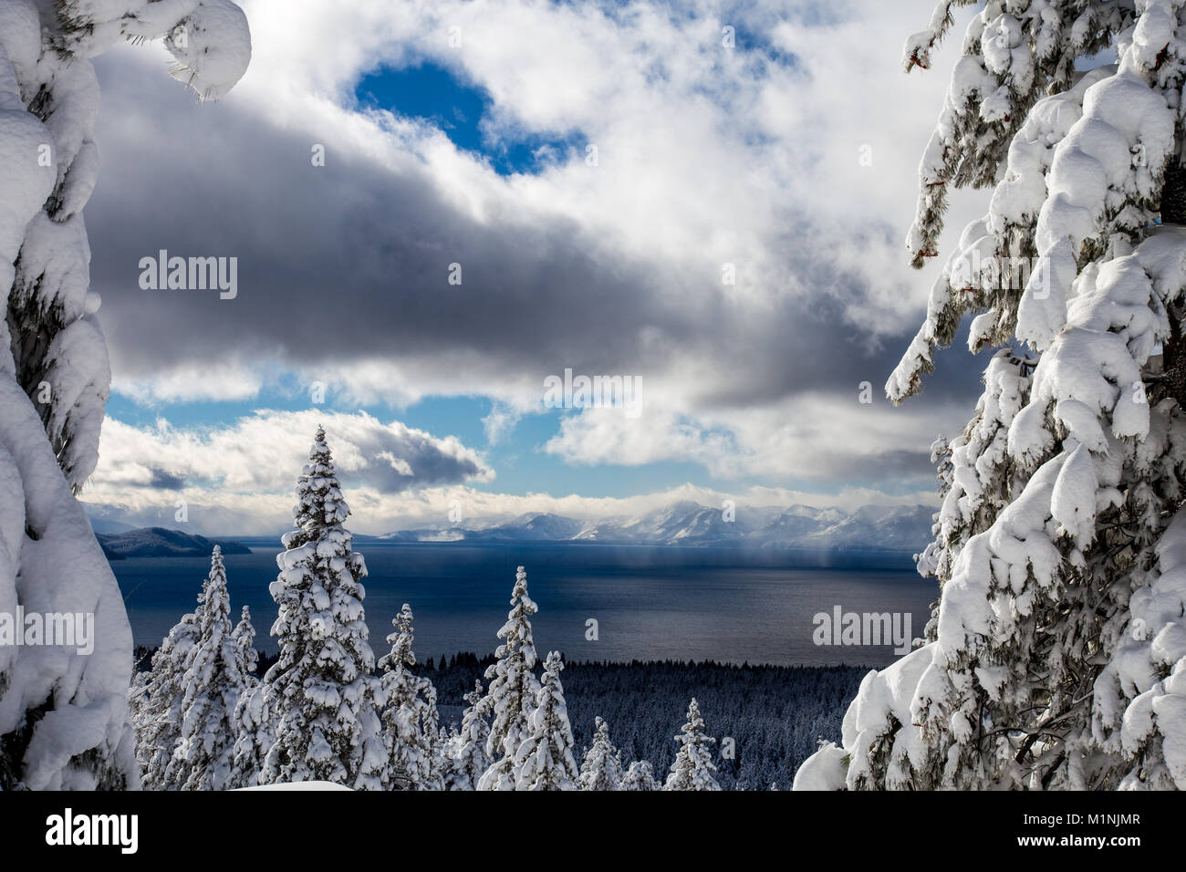 Snowy day. Landscape. Nature Stock Photo - Alamy