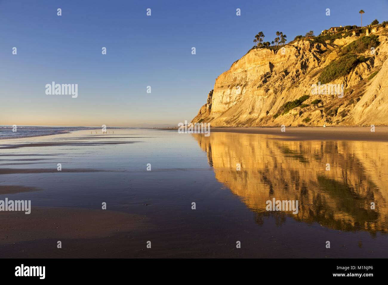 Eroded Sandstone California Cliffs and Torrey Pines State Beach ...