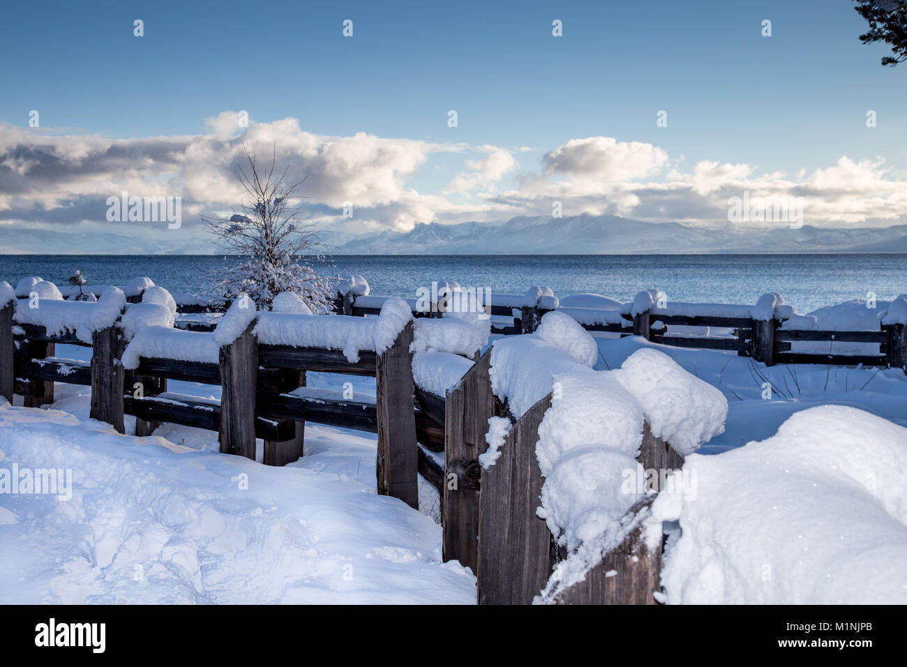 Snowy day. Landscape. Nature Stock Photo - Alamy