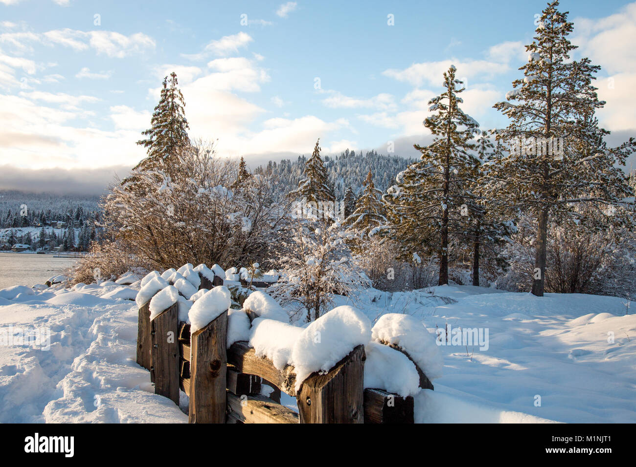 Beautiful winter. Season. Nature Stock Photo - Alamy