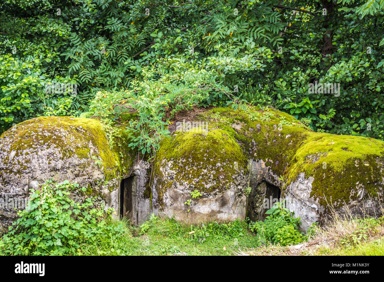 Old, covered with moss, military concrete earthworks Stock Photo - Alamy