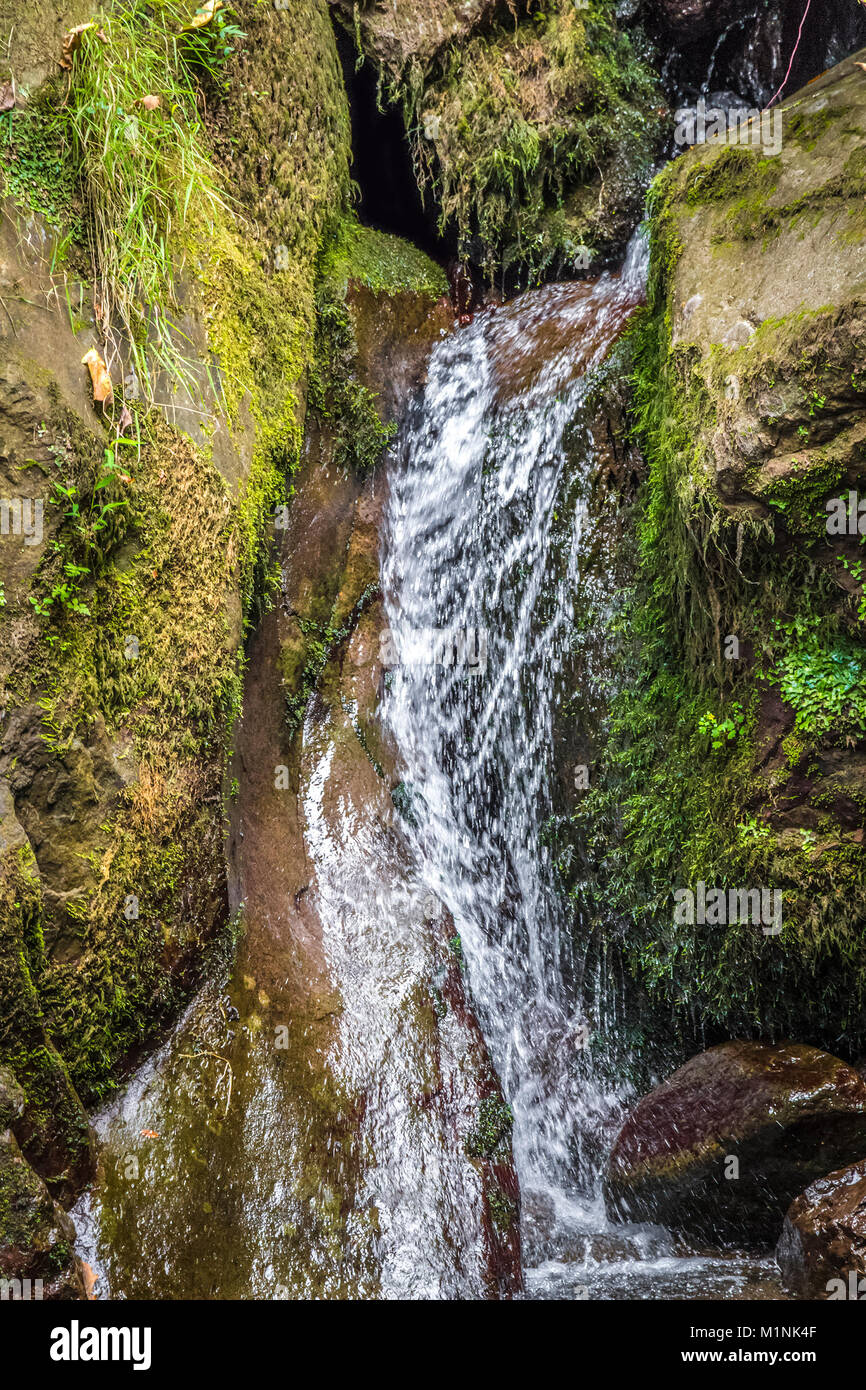 Beautiful big waterfall in wild overgrown places Stock Photo - Alamy