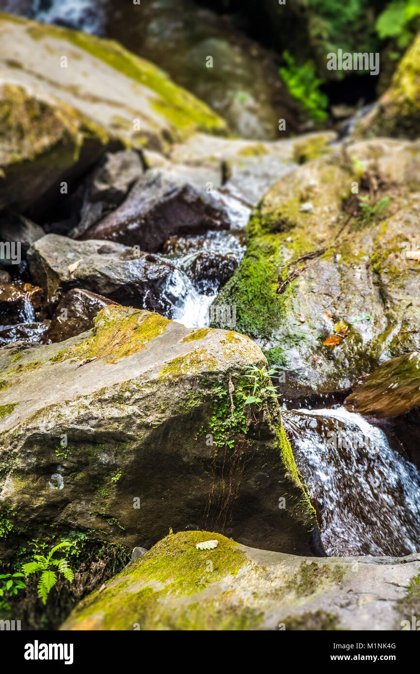 Beautiful big waterfall in wild overgrown places Stock Photo - Alamy