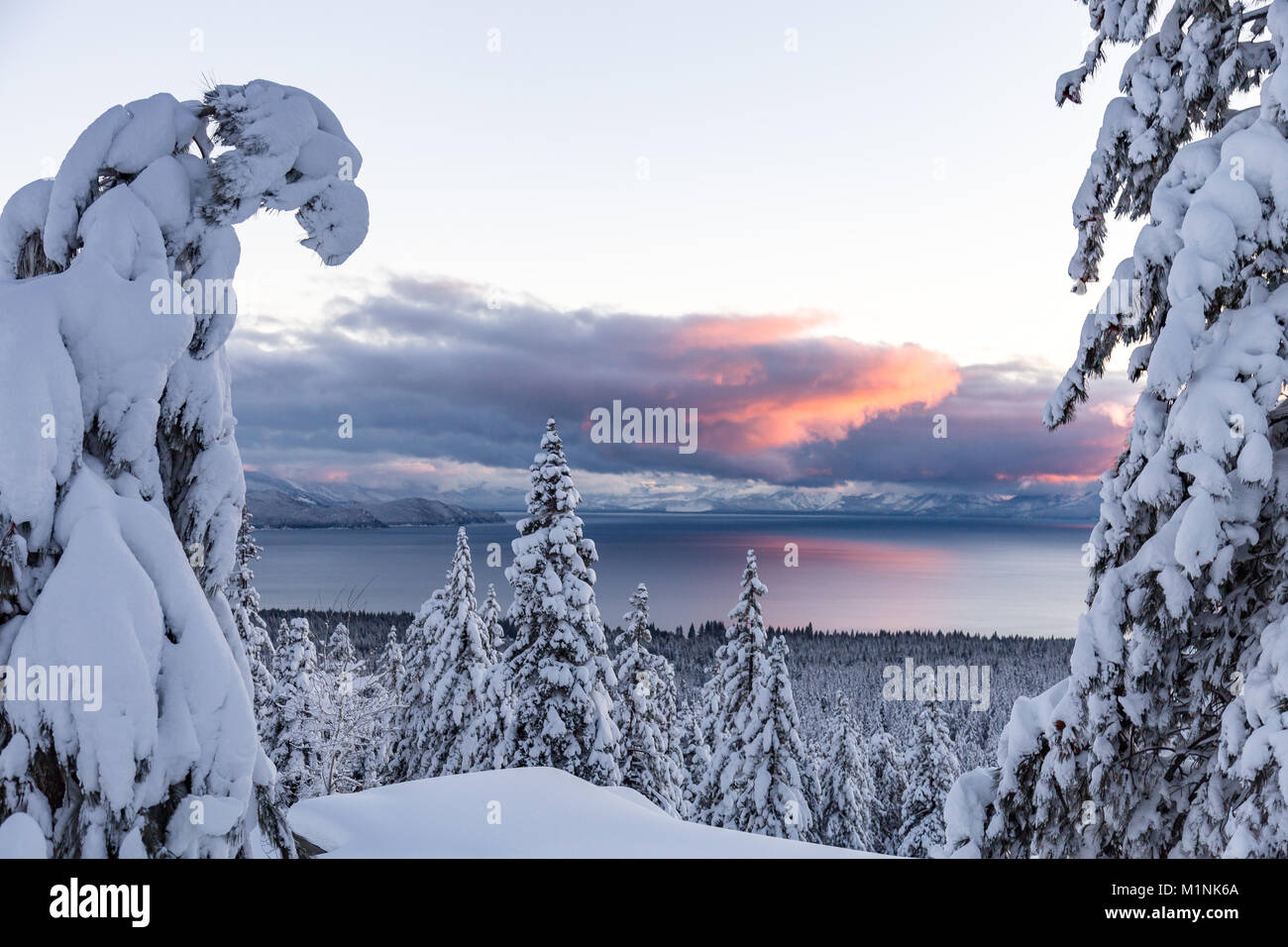 Snowy day. Landscape. Nature Stock Photo - Alamy
