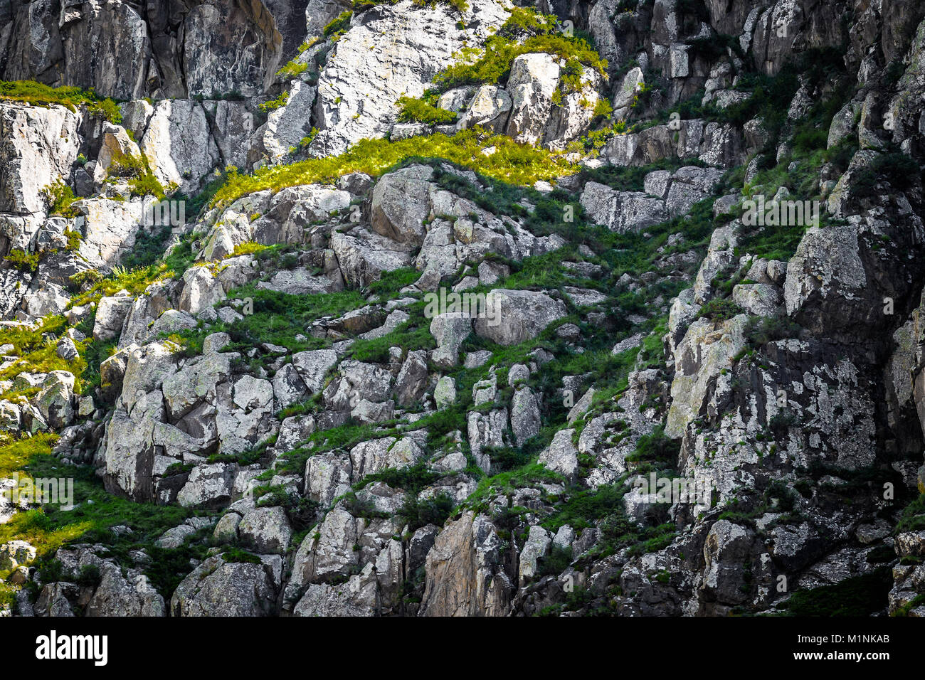 Mountainous landscape of high mountain slope close up Stock Photo - Alamy