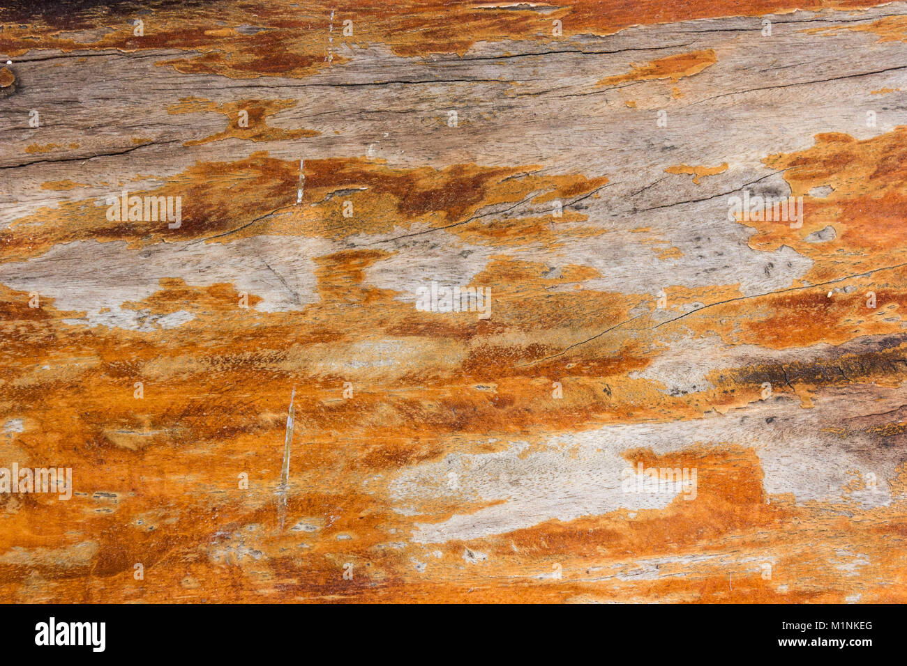 Close up old wood table texture background Stock Photo - Alamy