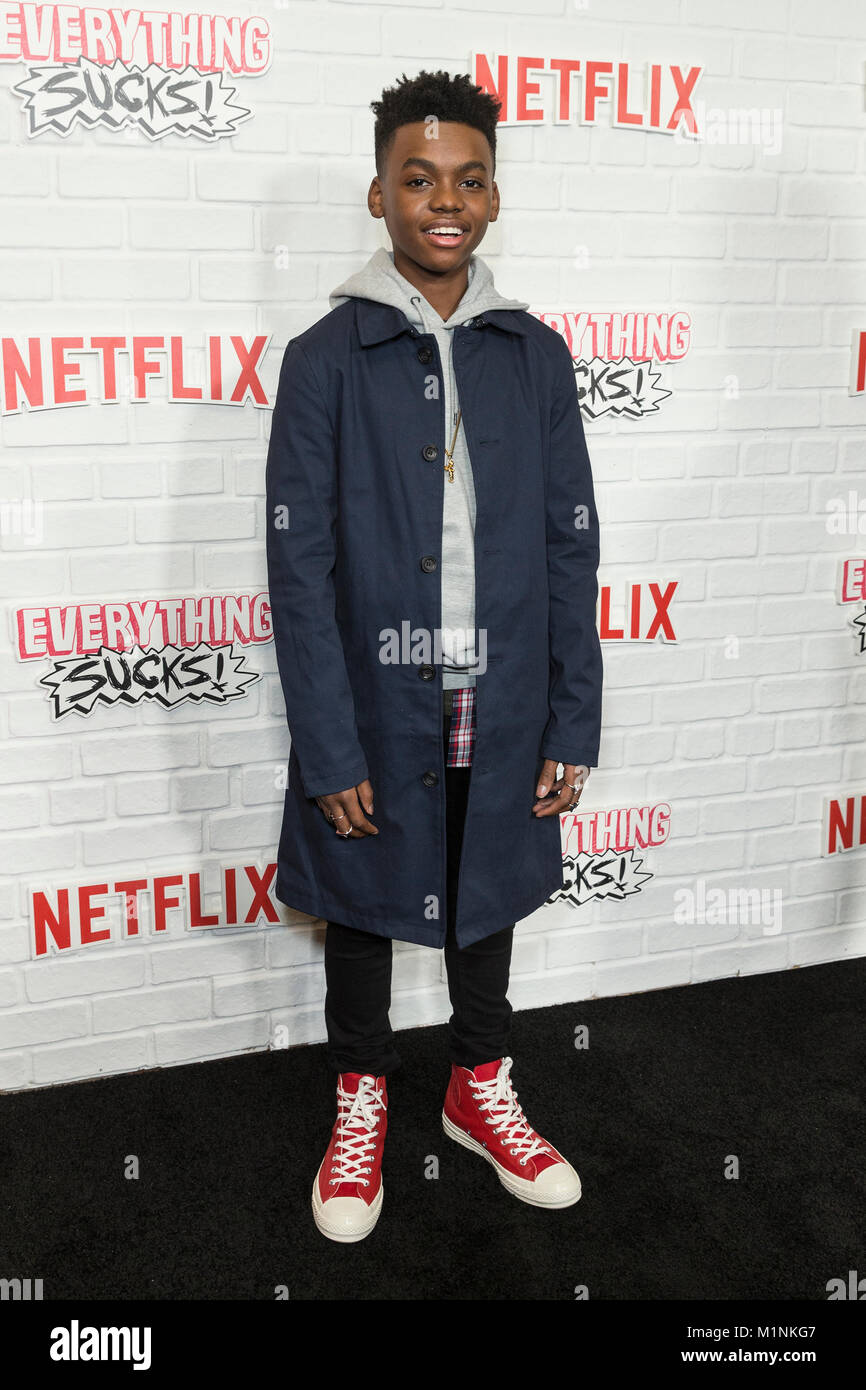 New York, United States. 31st Jan, 2018. Jahi DiAllo Winston attends ...