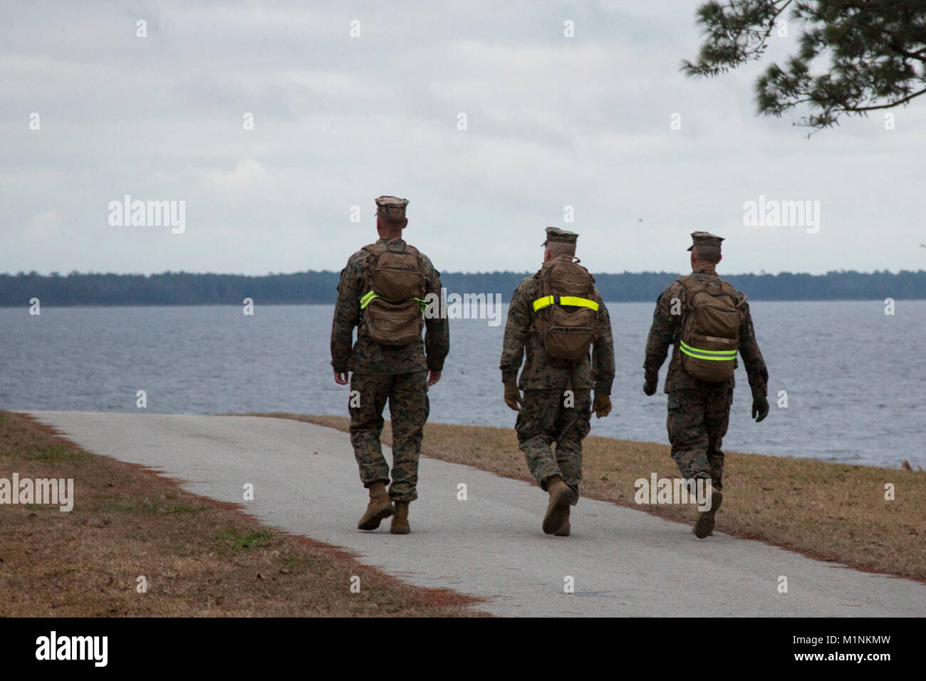 U.S. Marine Corps Sgt. Maj. Michael P. Woods, sergeant major, 2nd ...