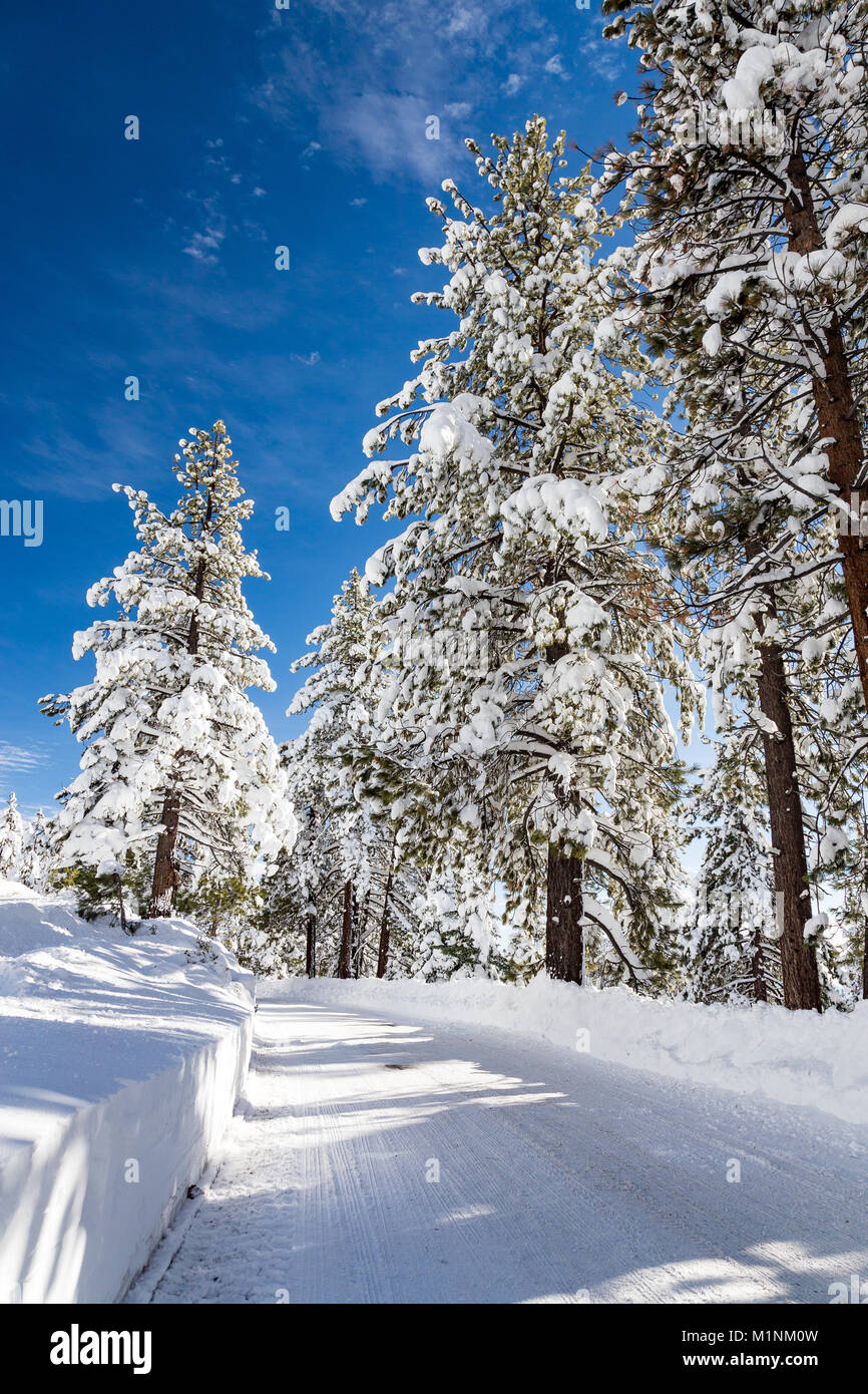 Beautiful winter. Season. Nature Stock Photo - Alamy