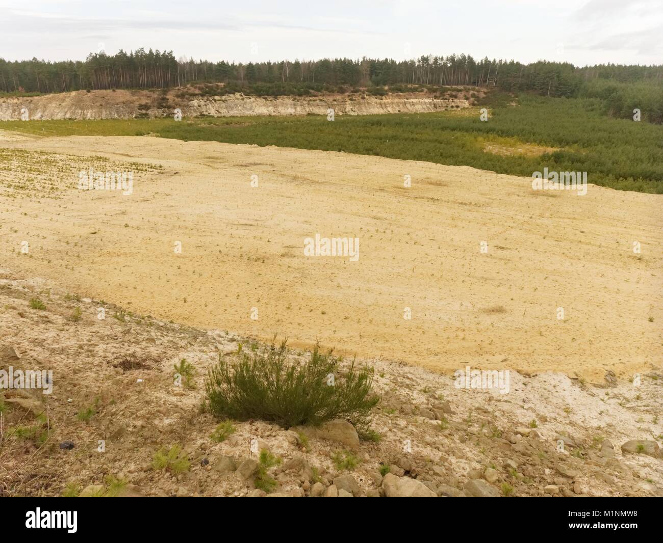 Industrial white sand quarry, sand pit. Restoration of a part of the ...