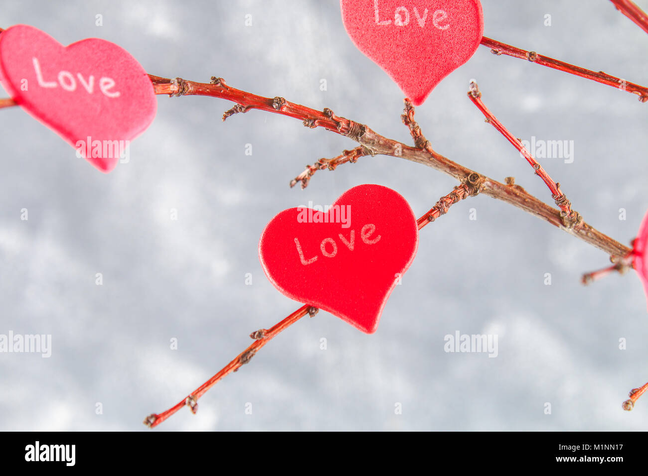 Red hearts with an inscription Love hang on branches on a gray concrete ...