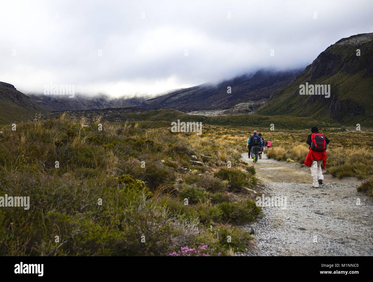 The legendary Tongariro track (Tongariro Alpine Crossing) in the ...