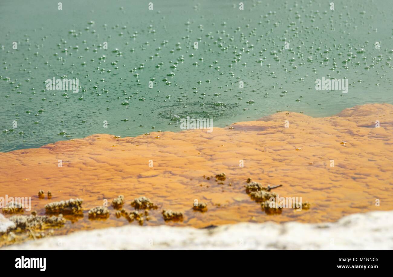 A sparkling champagne-filled pond resembles the Champagne Pool at the ...