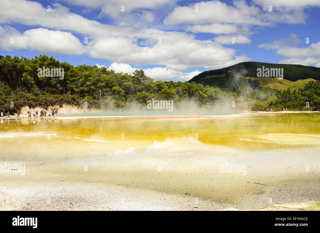The ponds and pools in the Wai-O-Tapu Thermal Wonderland near Rotorua ...