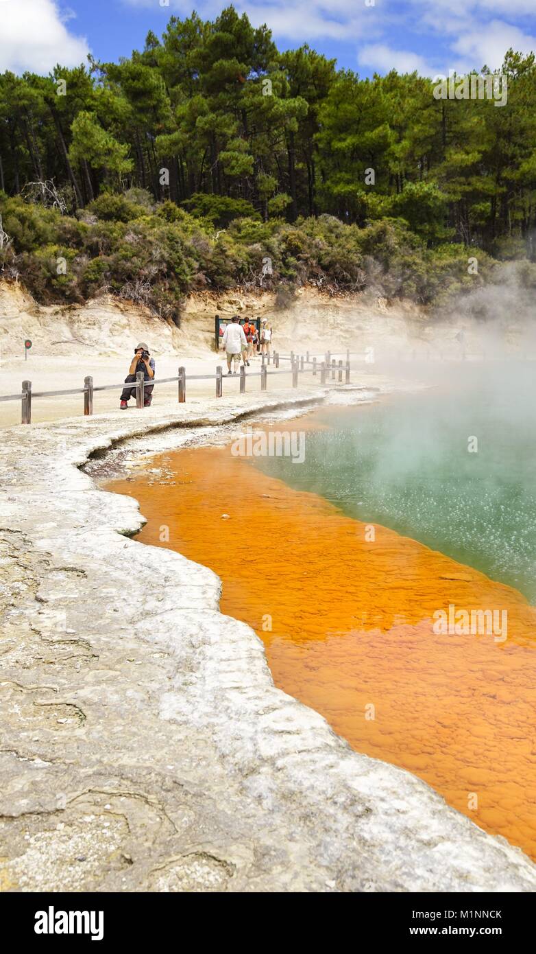 A sparkling champagne-filled pond resembles the Champagne Pool at the ...