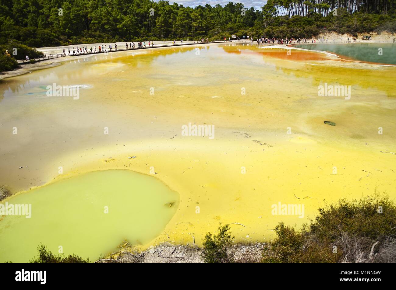 The ponds and pools in the Wai-O-Tapu Thermal Wonderland near Rotorua ...