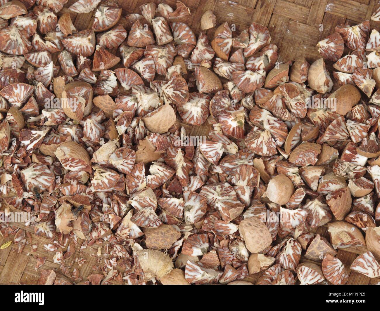 Betel Nut | usage worldwide Stock Photo - Alamy