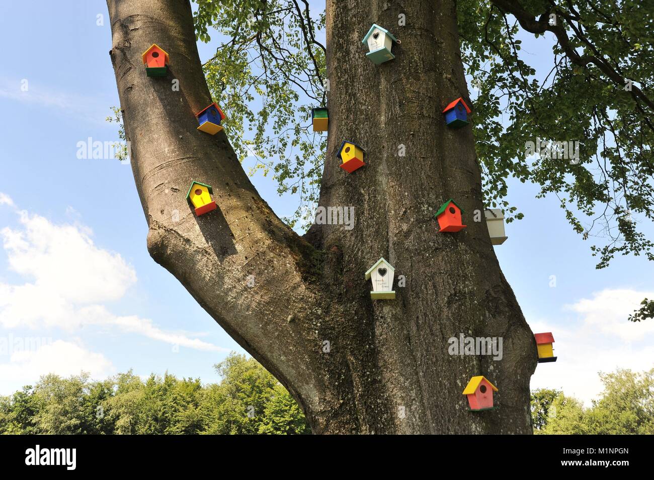 various birdhouses in a tree | usage worldwide Stock Photo - Alamy