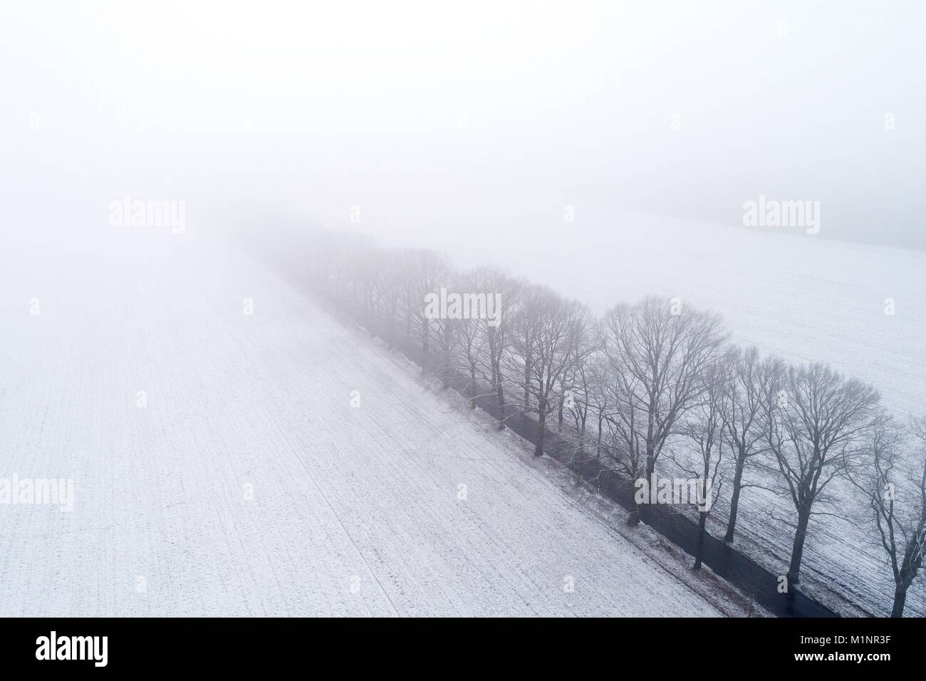 Winter in Brandenburg, Lusatia - snow covered landscape with an alley ...