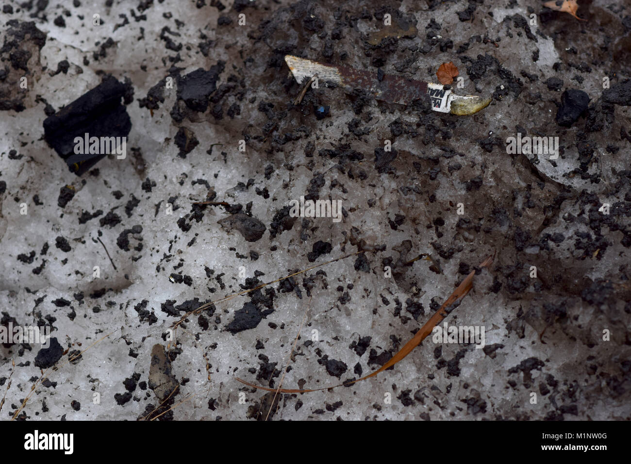 Snow pile with dirt, grime, leaves, and cigarette butts, closeup ...