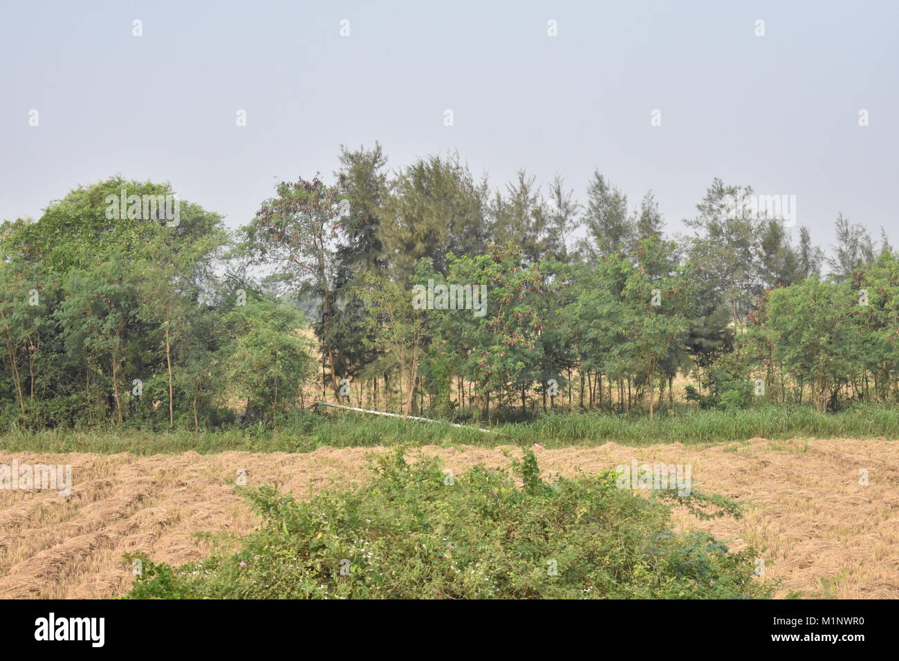 Cutting fields pattern hi-res stock photography and images - Alamy