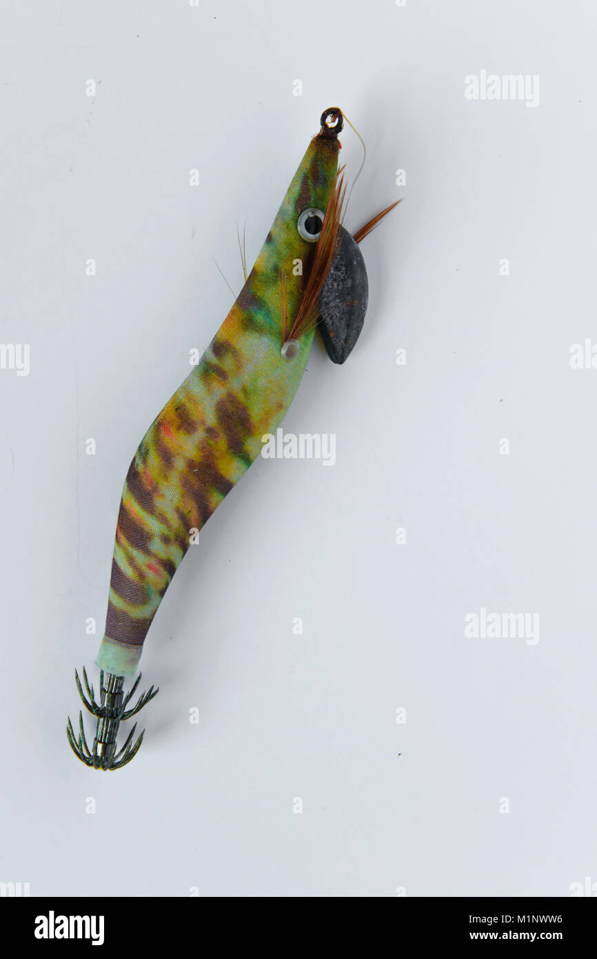 Isolated colorful plastic fishing bait on white background, space for ...