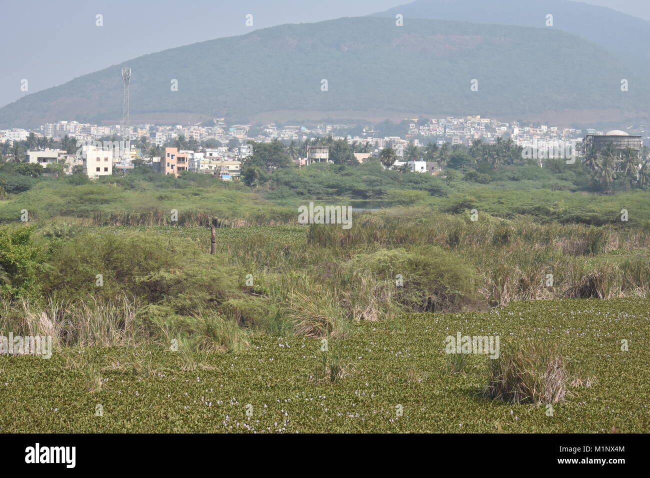 A transformer yard close view with background city building Stock Photo ...