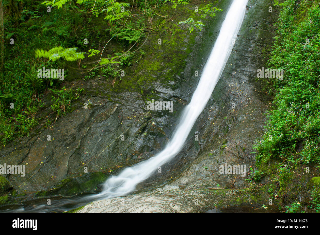 The Whitelady Waterfall, at Lydford Gorge, Devon, UK - John Gollop ...