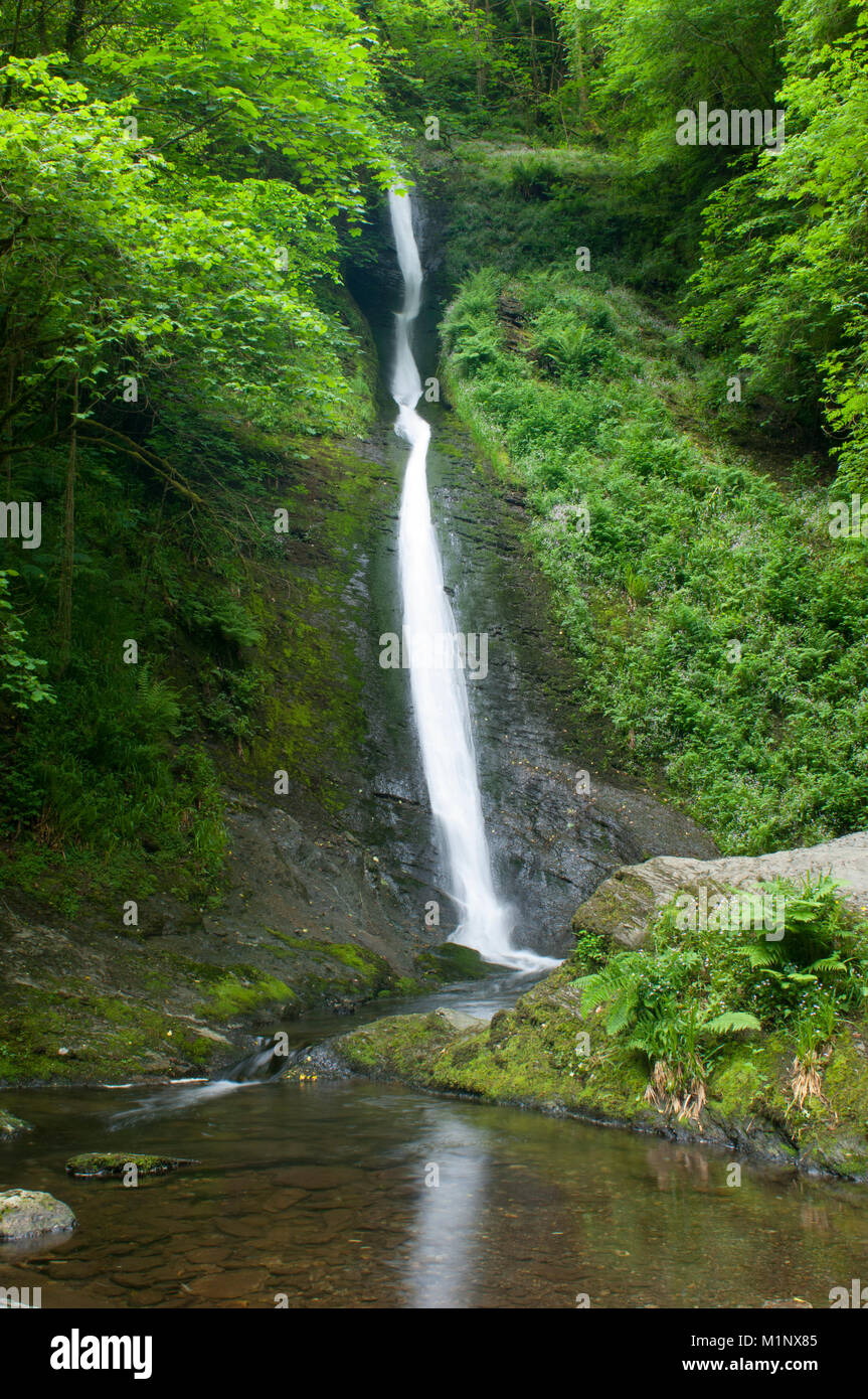 The Whitelady Waterfall, at Lydford Gorge, Devon, UK - John Gollop ...