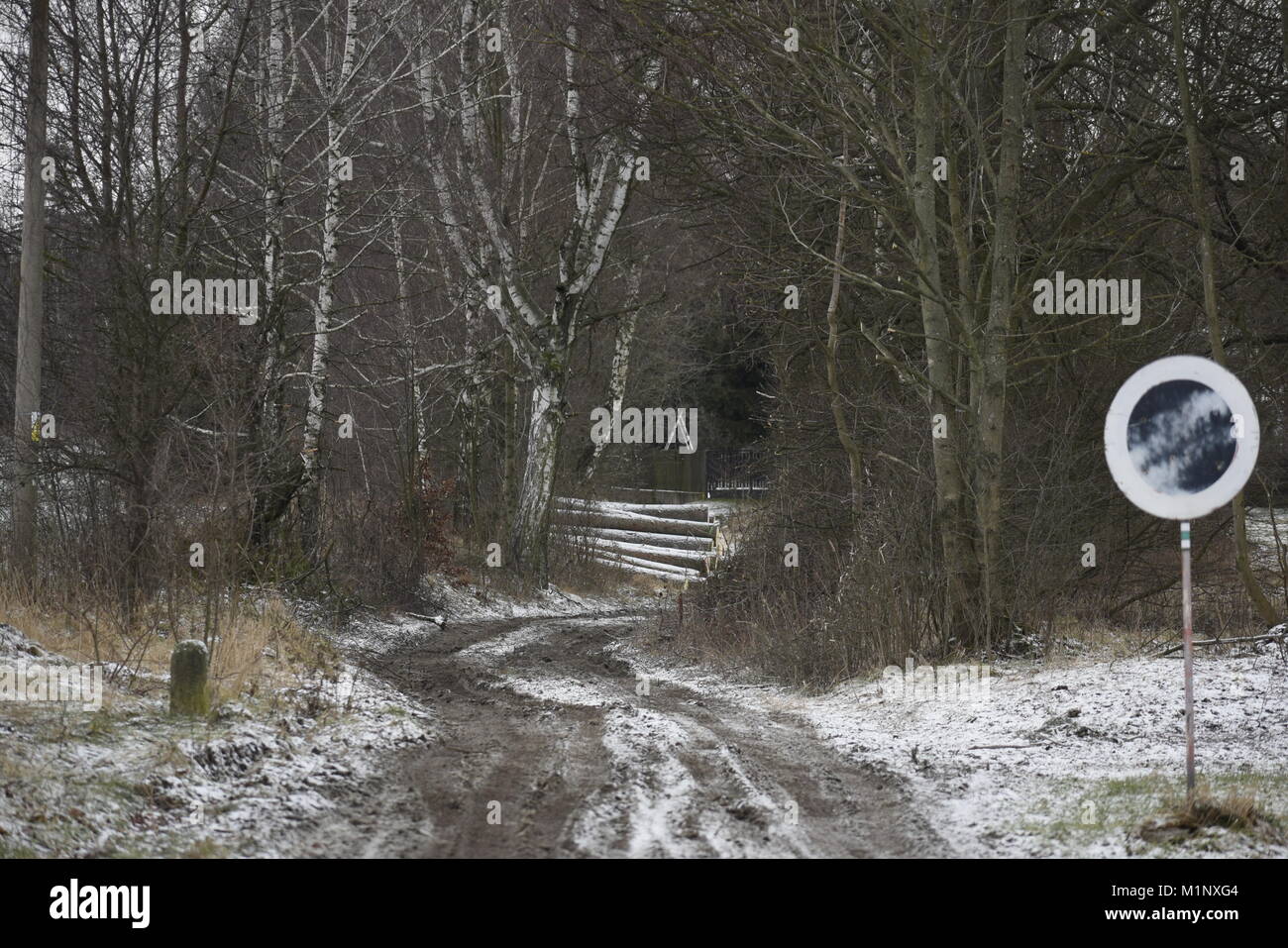 old path to the woods Stock Photo - Alamy