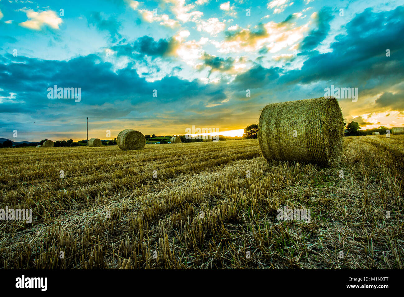 Bails of straw sunset Stock Photo - Alamy