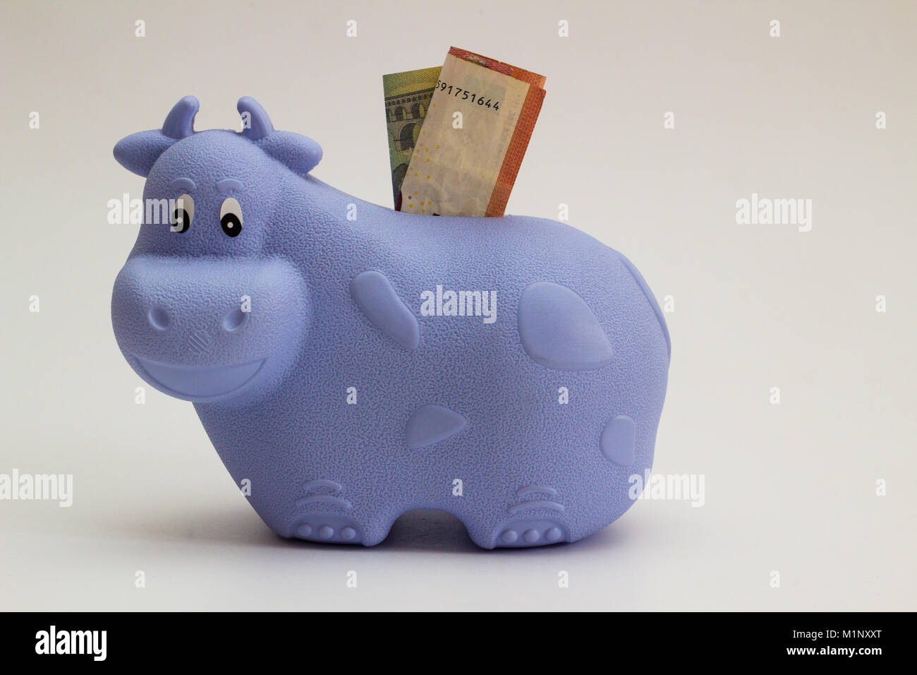 money box cow, with Euro banknotes and coins on a white background ...