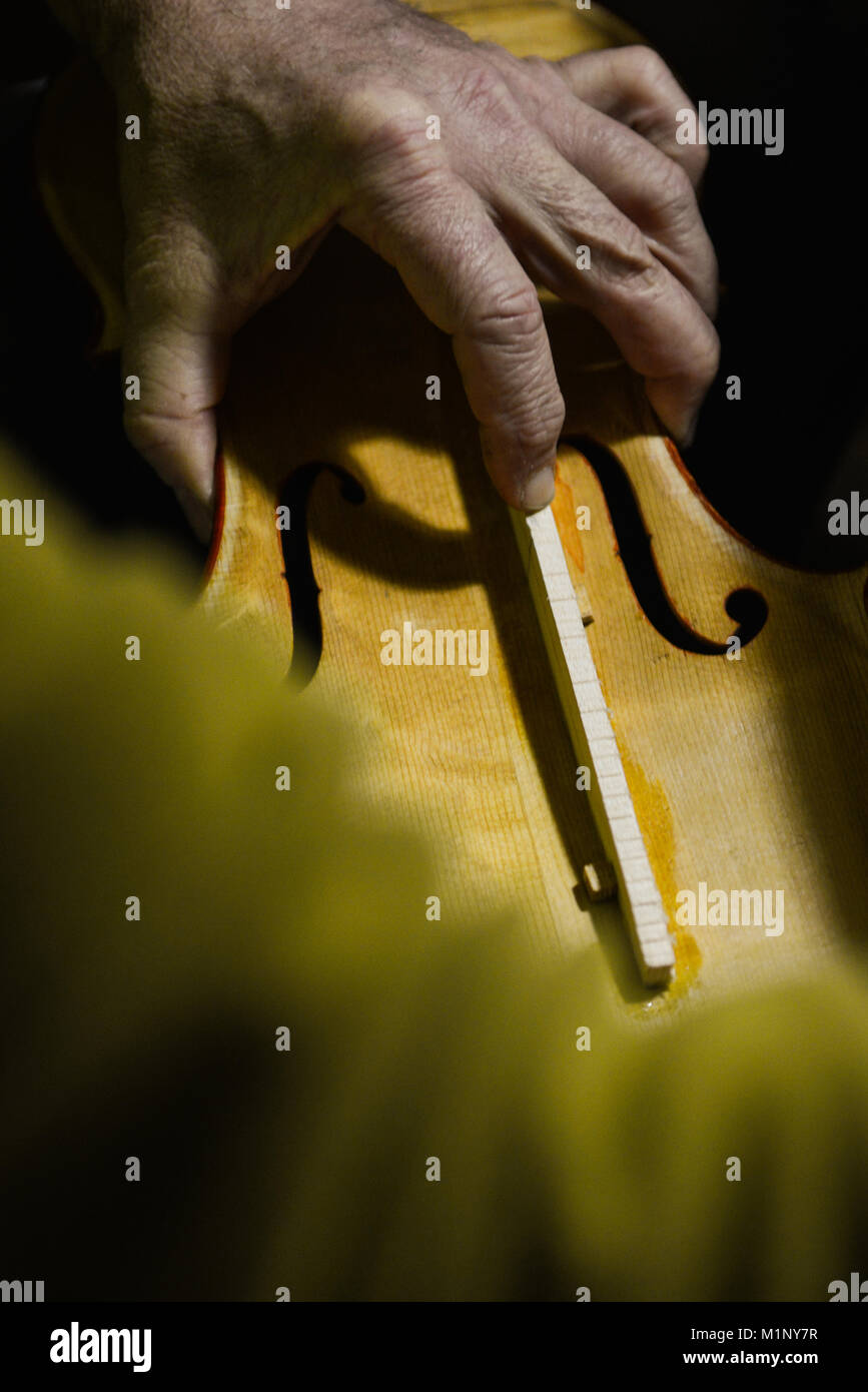 Lutist Philippe Devanneaux at work in his shop, Cremona, Italy, January ...